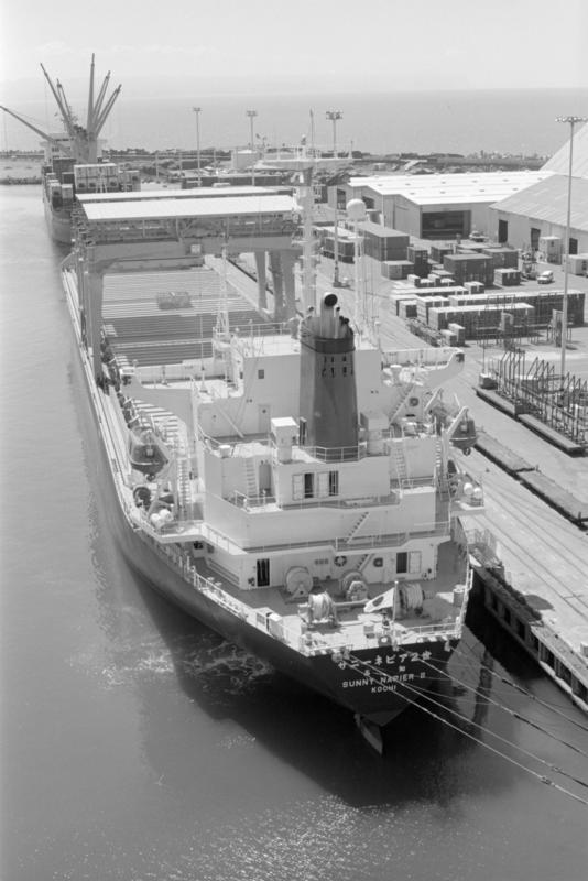 Pan Pac Vessel Sunny Napier II, Port of Napier - MTG Hawkes Bay