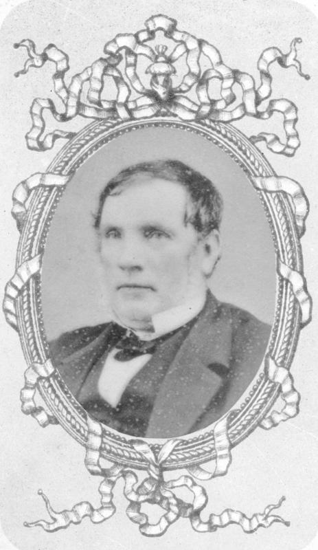 Portrait of Sir Donald McLean - MTG Hawkes Bay