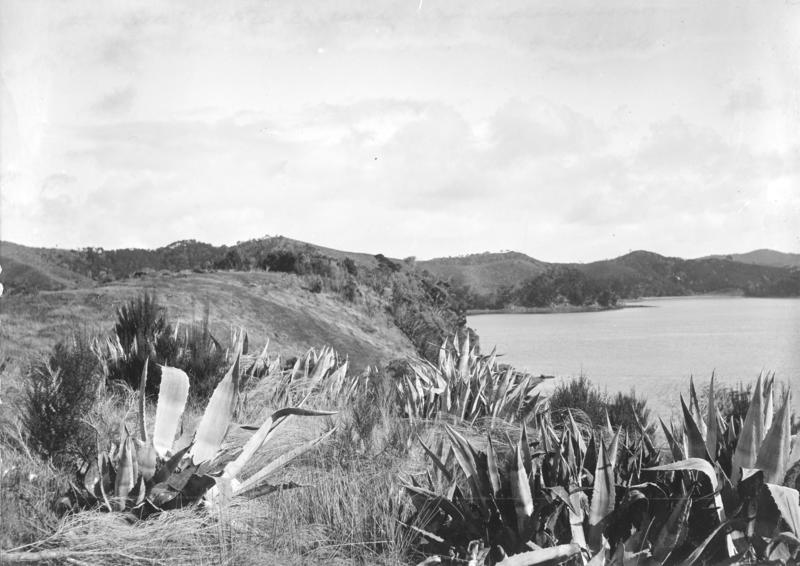 Okiato, Bay of Islands - MTG Hawkes Bay