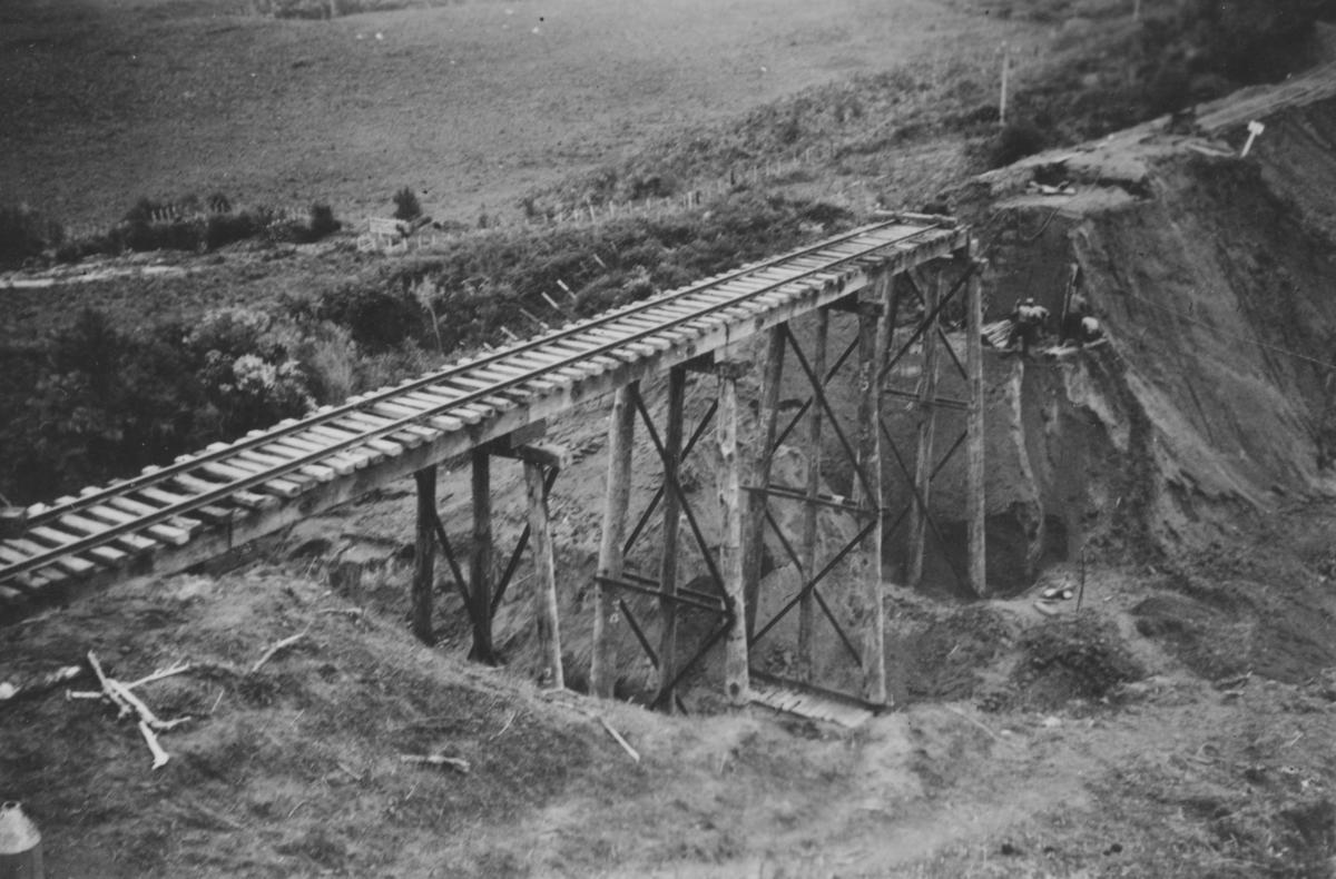 A railway bridge on the East Coast railway line - MTG Hawkes Bay