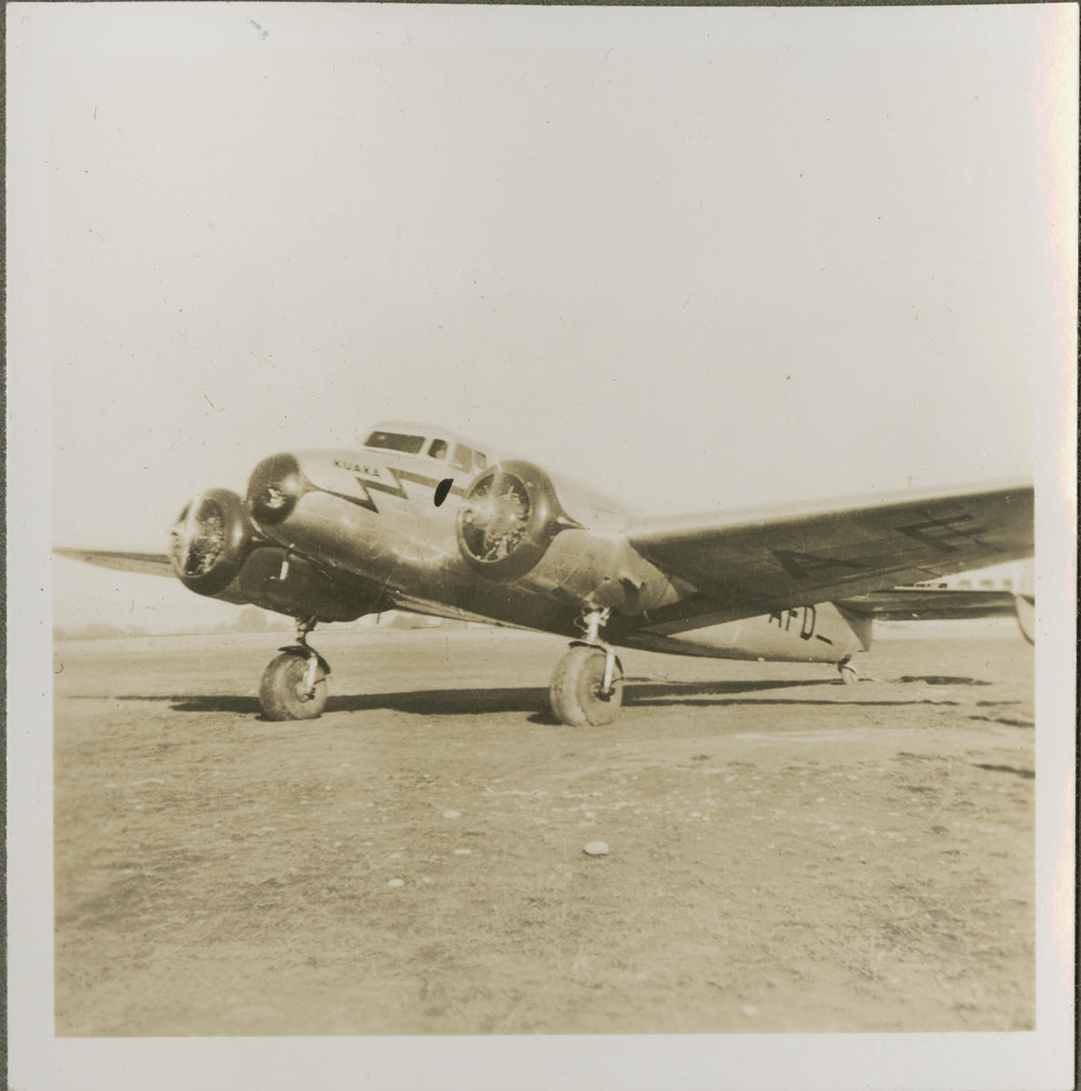 Lockheed Electra ZK-AFD aeroplane Kuaka - MTG Hawkes Bay