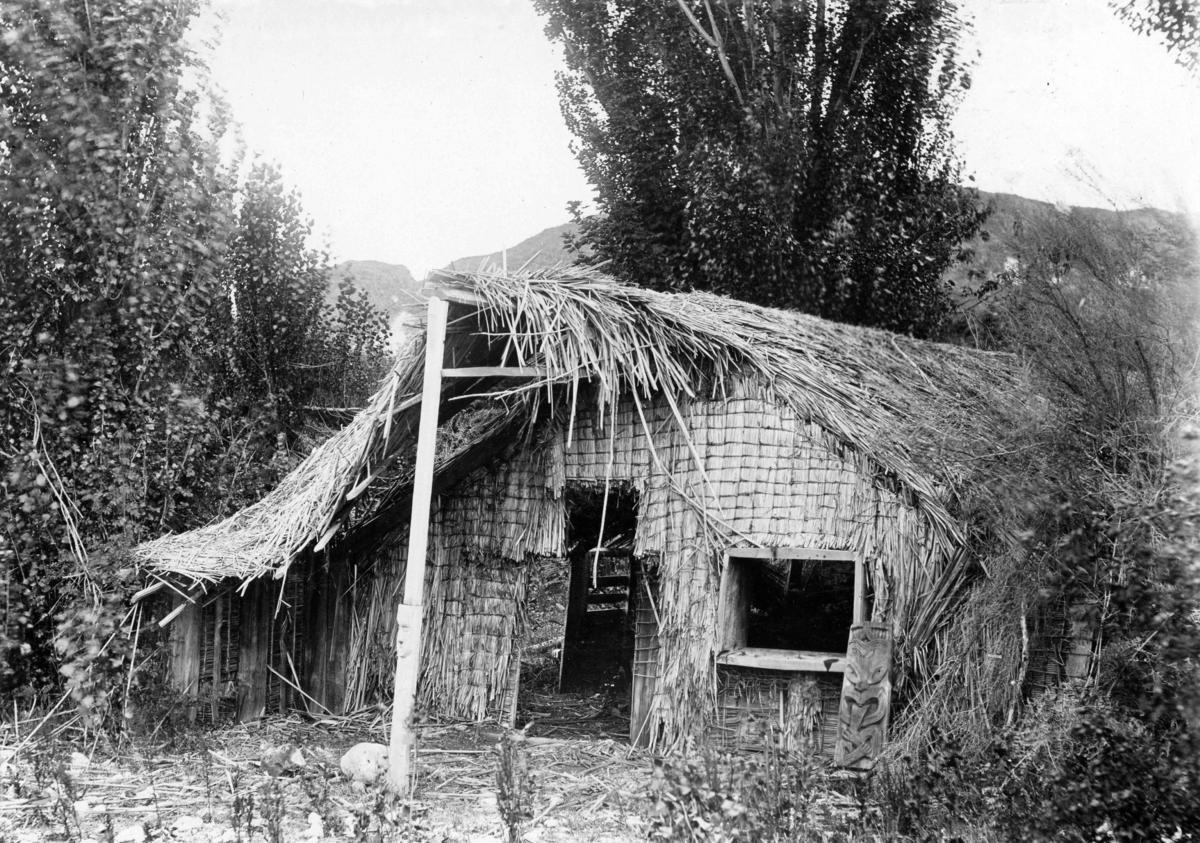 Ruined Whare, Hatepe - MTG Hawkes Bay
