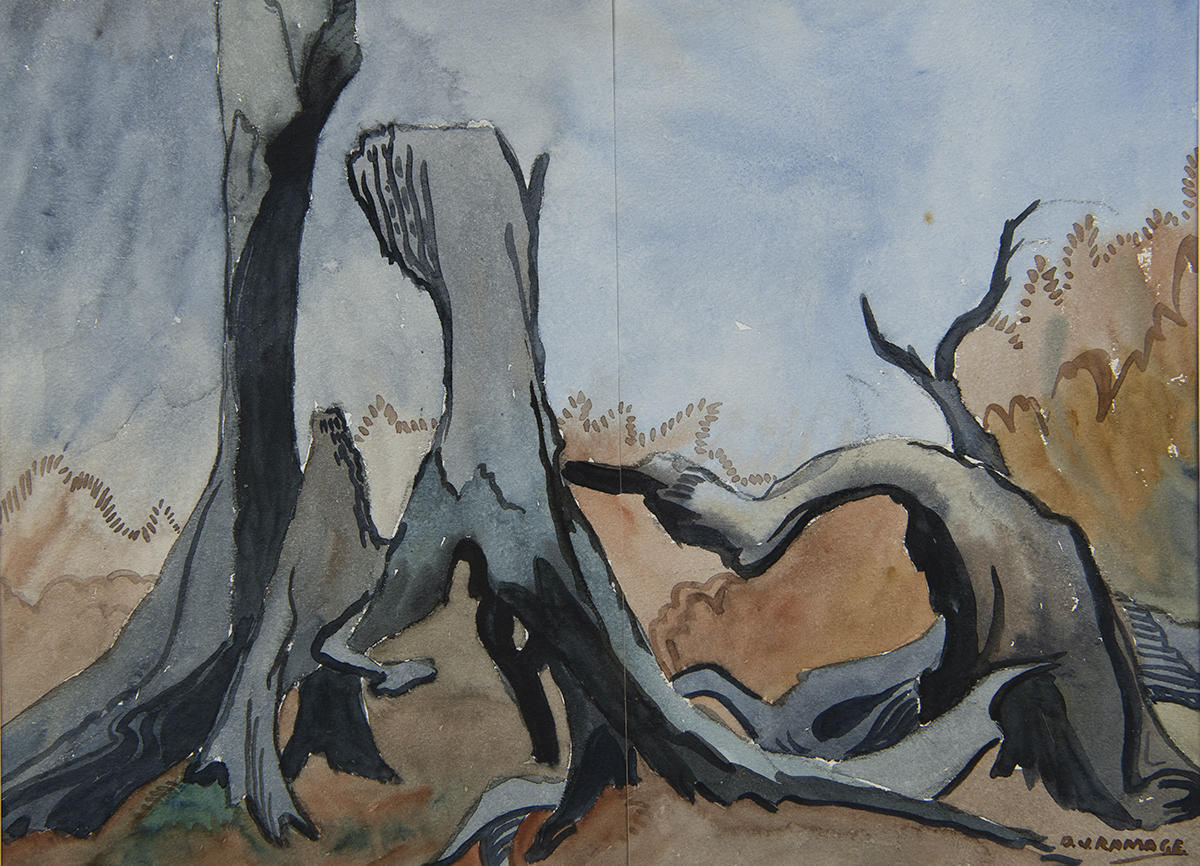 Burnt Stumps - MTG Hawkes Bay