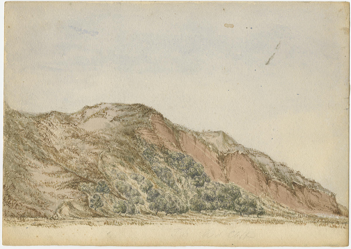 The Red Cliff, Hawke's Bay - MTG Hawkes Bay