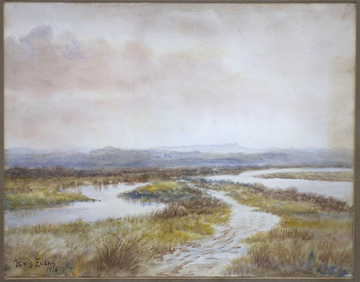 Untitled - Ahuriri Estuary - MTG Hawkes Bay