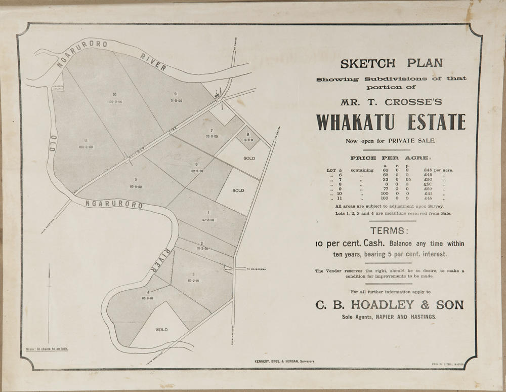 Plan, Whakatu Estate land for sale - MTG Hawkes Bay