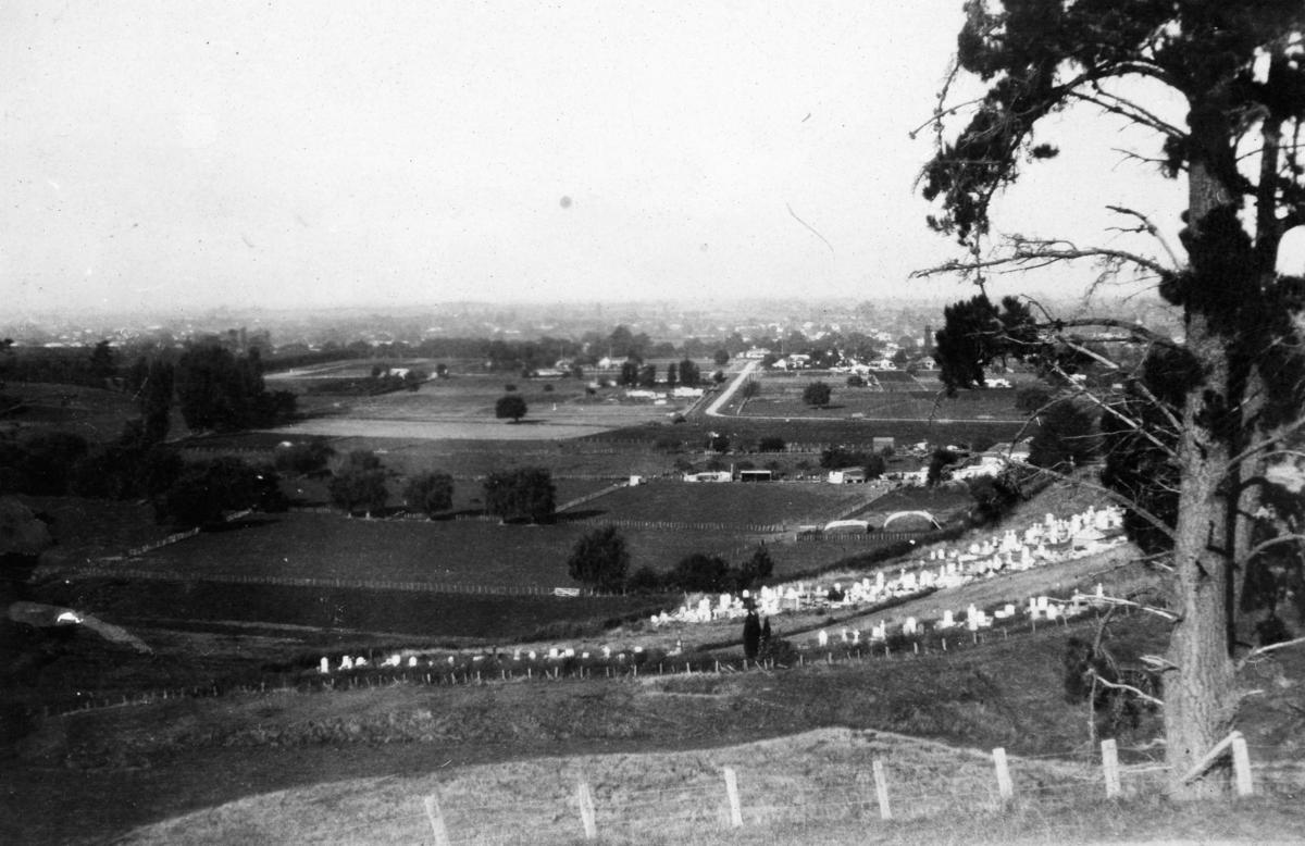 Taradale Cemetery - MTG Hawkes Bay