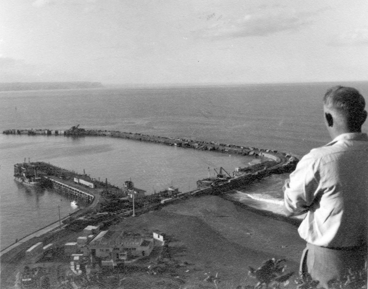 Napier Port - MTG Hawkes Bay