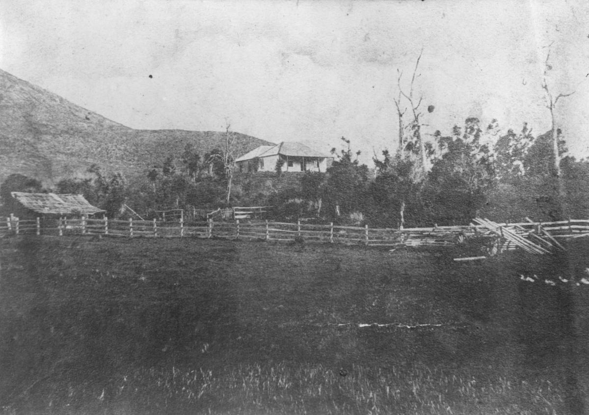 House - MTG Hawkes Bay