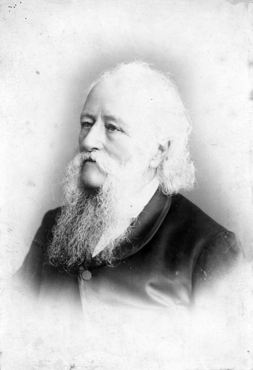 William Colenso - MTG Hawkes Bay