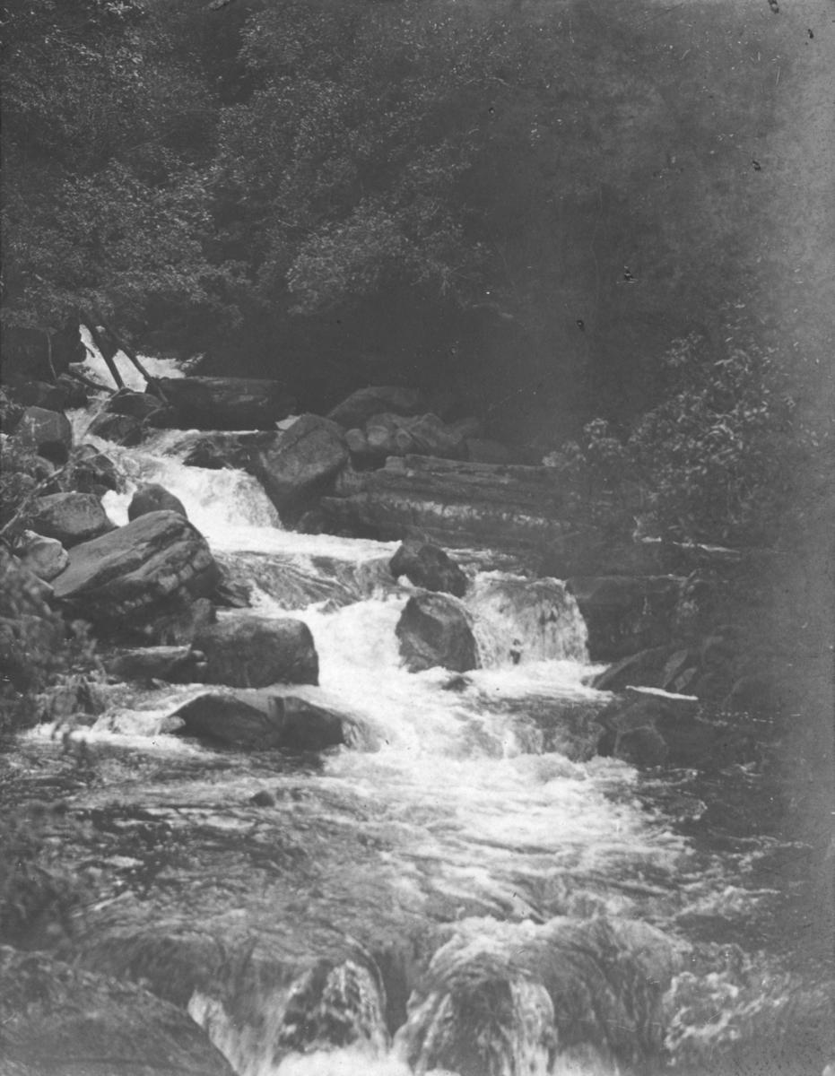 A Glimpse on the Road - MTG Hawkes Bay